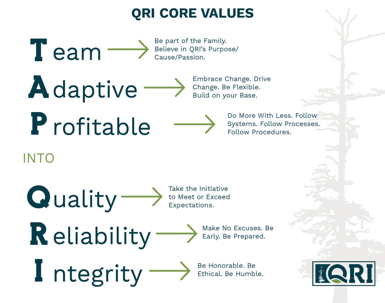 Our Values | QRI